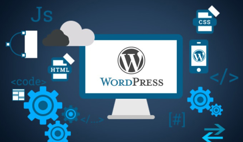 Wordpress Programming Basics – DW LMS website